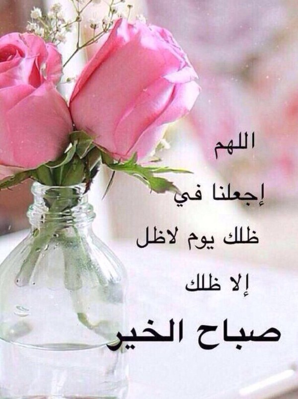 أجمل صور وعبارات صباح الخير - موقع ياهلا
