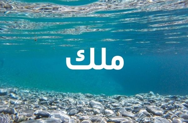 اسم ملك ومعناه وصفاته - موقع ياهلا