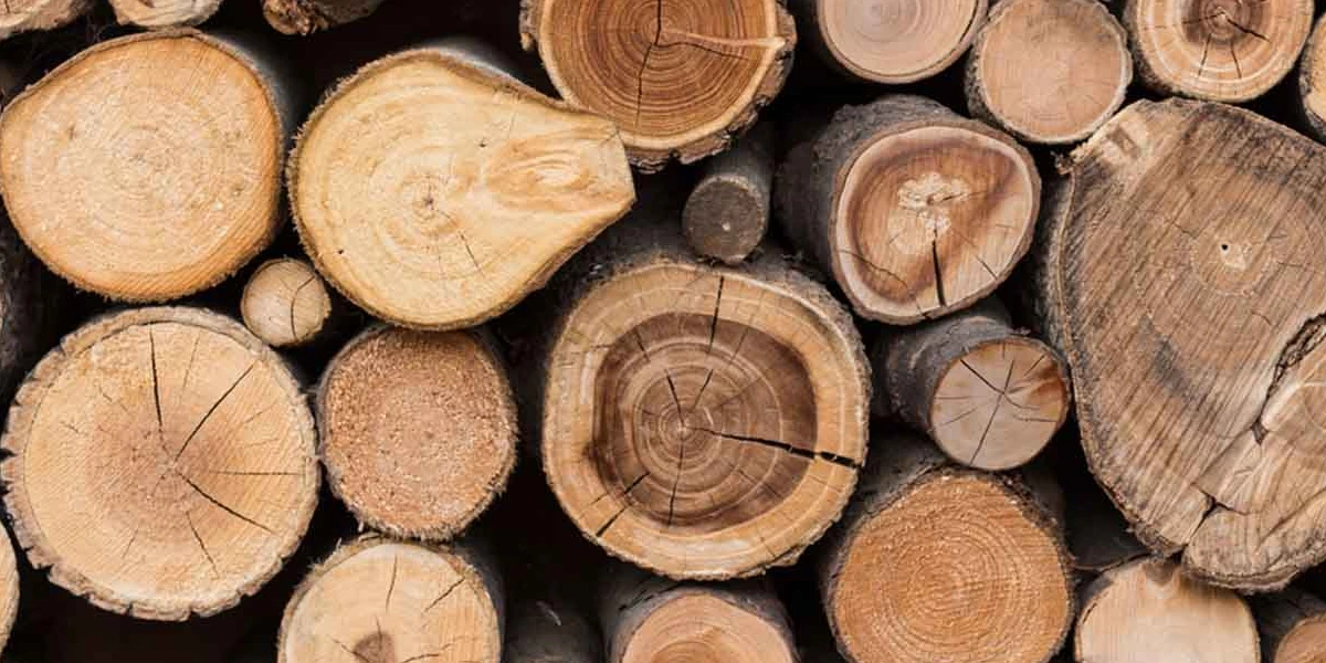 أهم أنواع الخشب الطبيعي والصناعي - موقع ياهلا