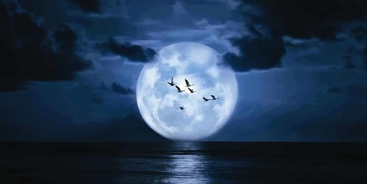 اجمل صور للقمر مميزة وواضحة - باهي نت